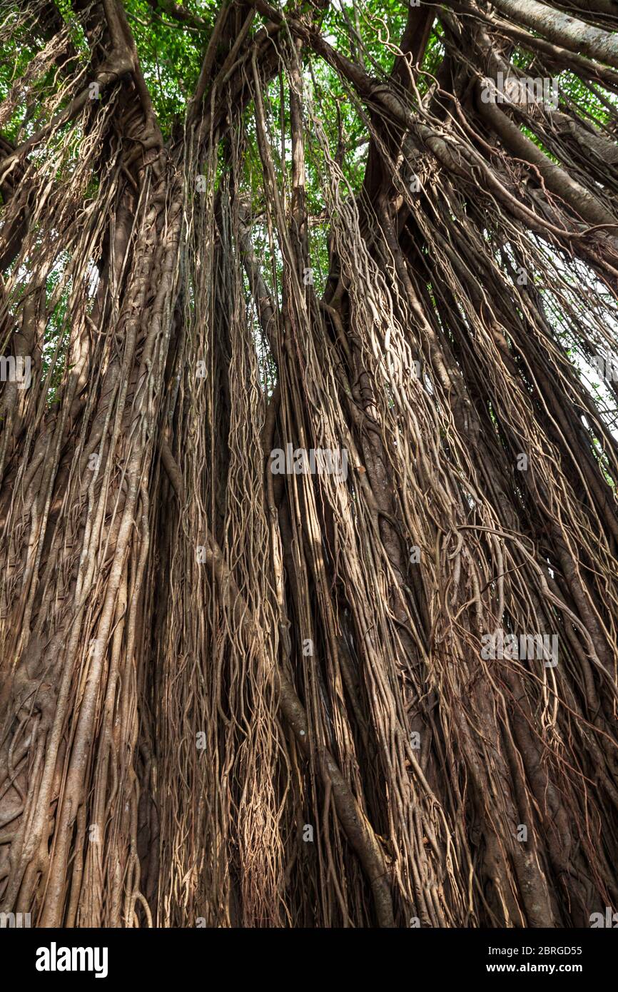 Indian tourist attraction hi-res stock photography and images - Alamy