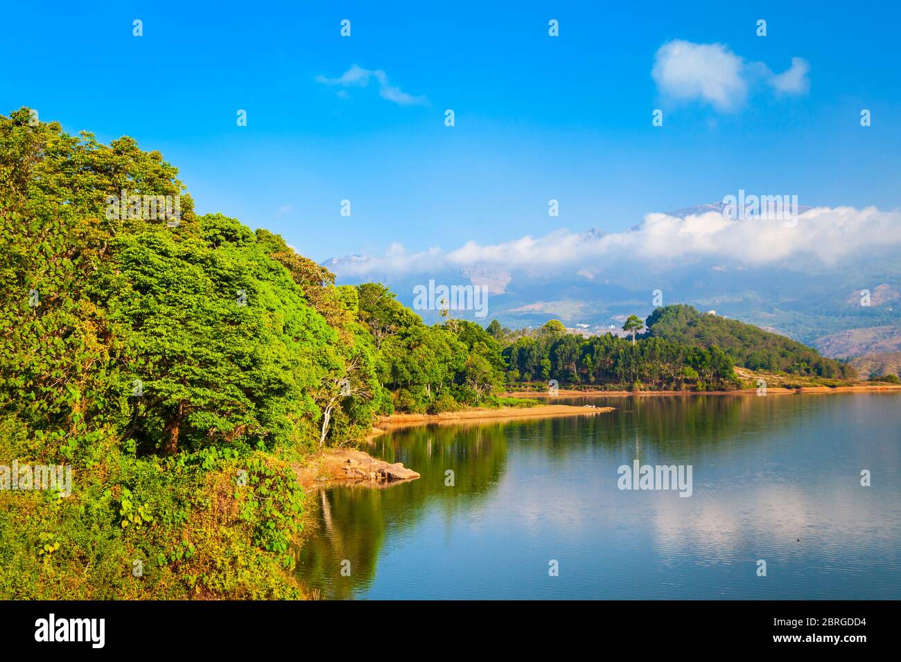 Dam lake near the Munnar town in Kerala state of India Stock Photo - Alamy