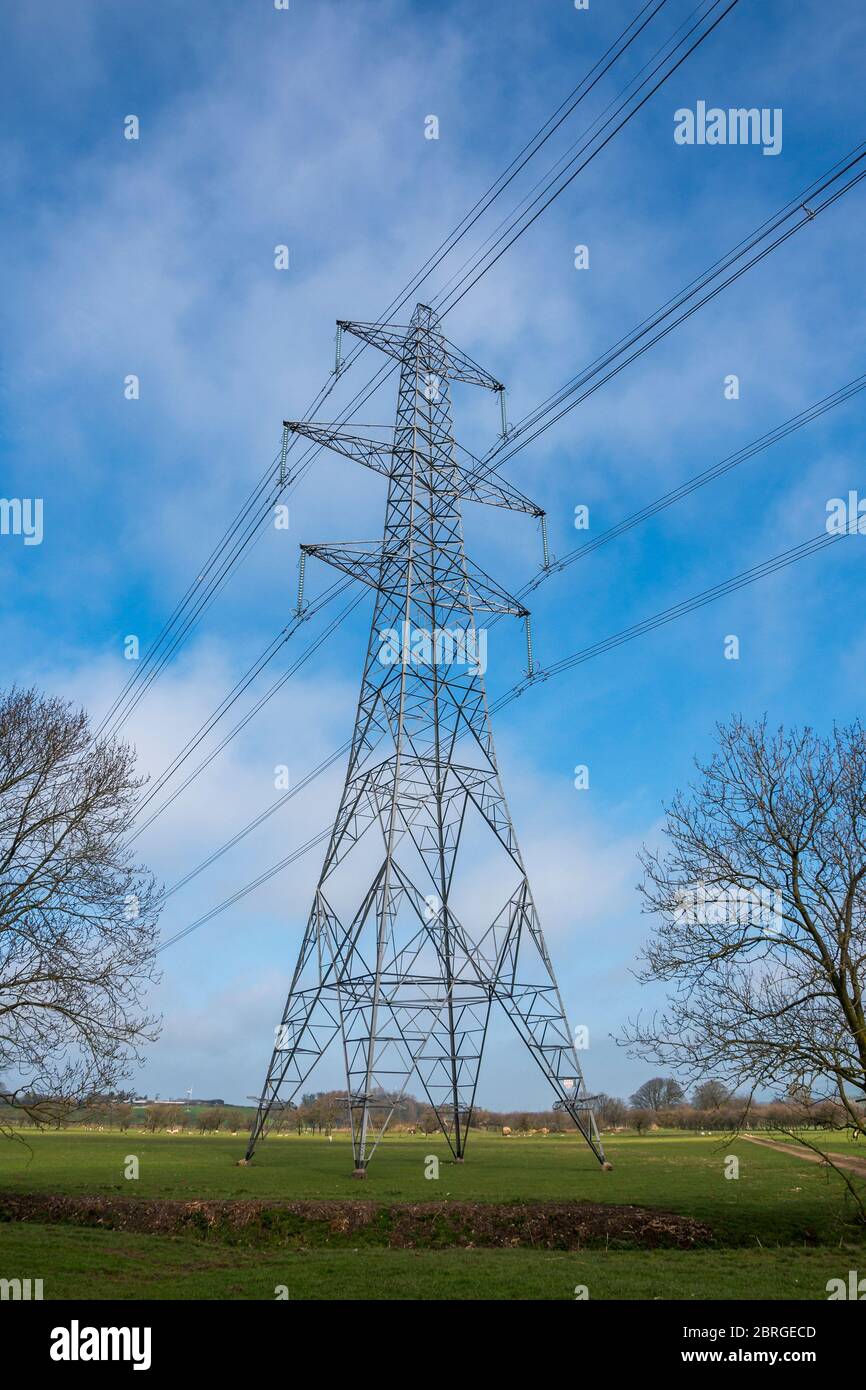 electricity pylons in countryside farm field, lancashire, england,uk ...