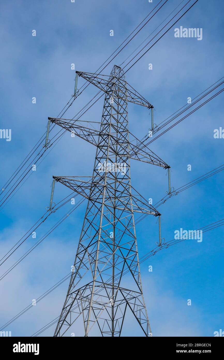 electricity pylons in countryside farm field, lancashire, england,uk ...