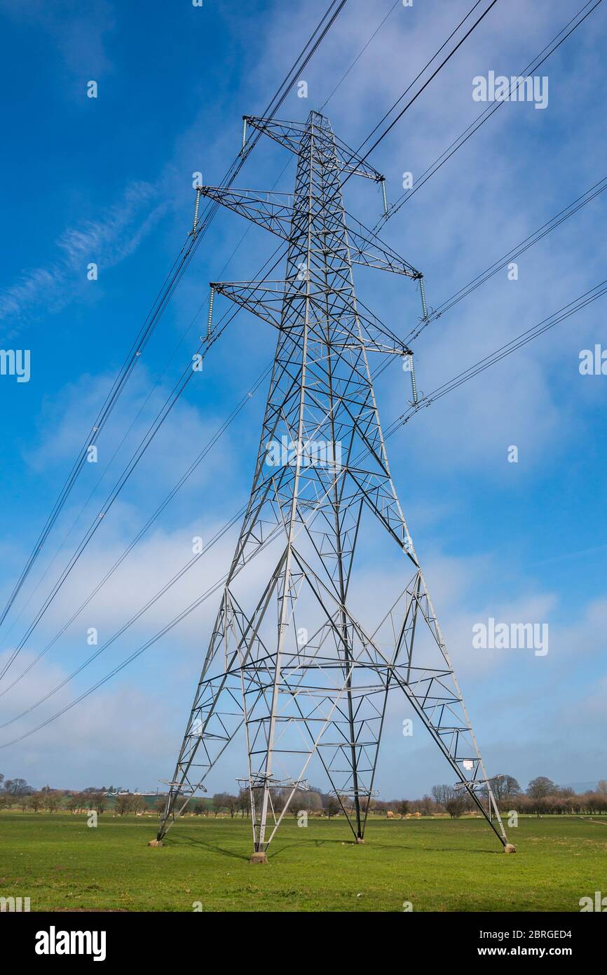 electricity pylons in countryside farm field, lancashire, england,uk ...