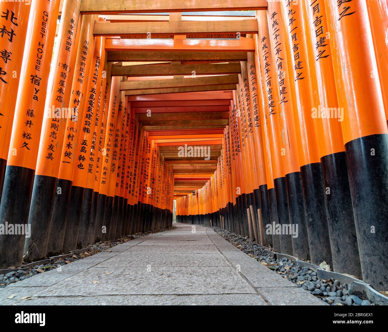 Torii path lined with thousands of torii in the Fushimi Inari Taisha ...