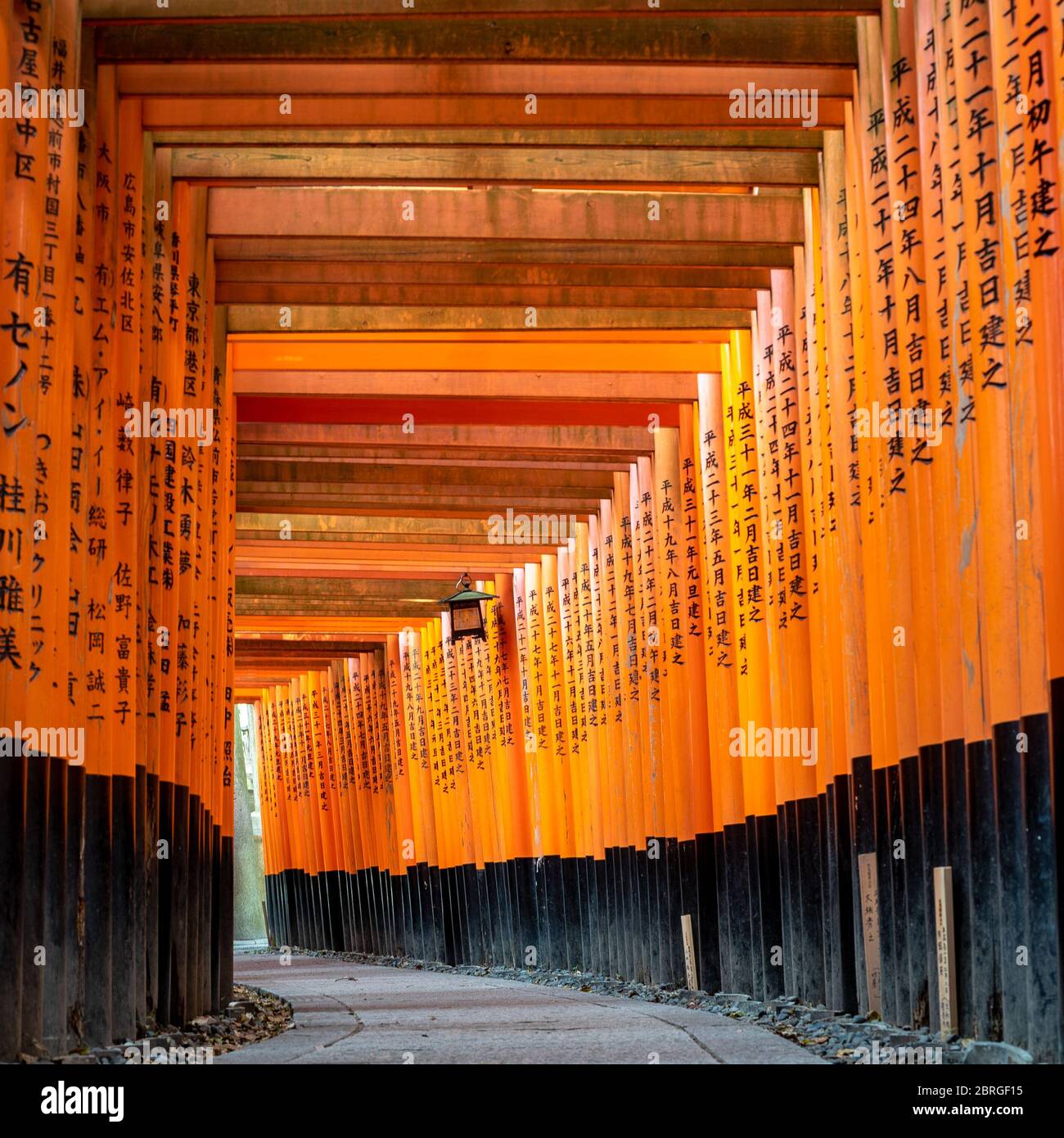Torii path lined with thousands of torii in the Fushimi Inari Taisha ...