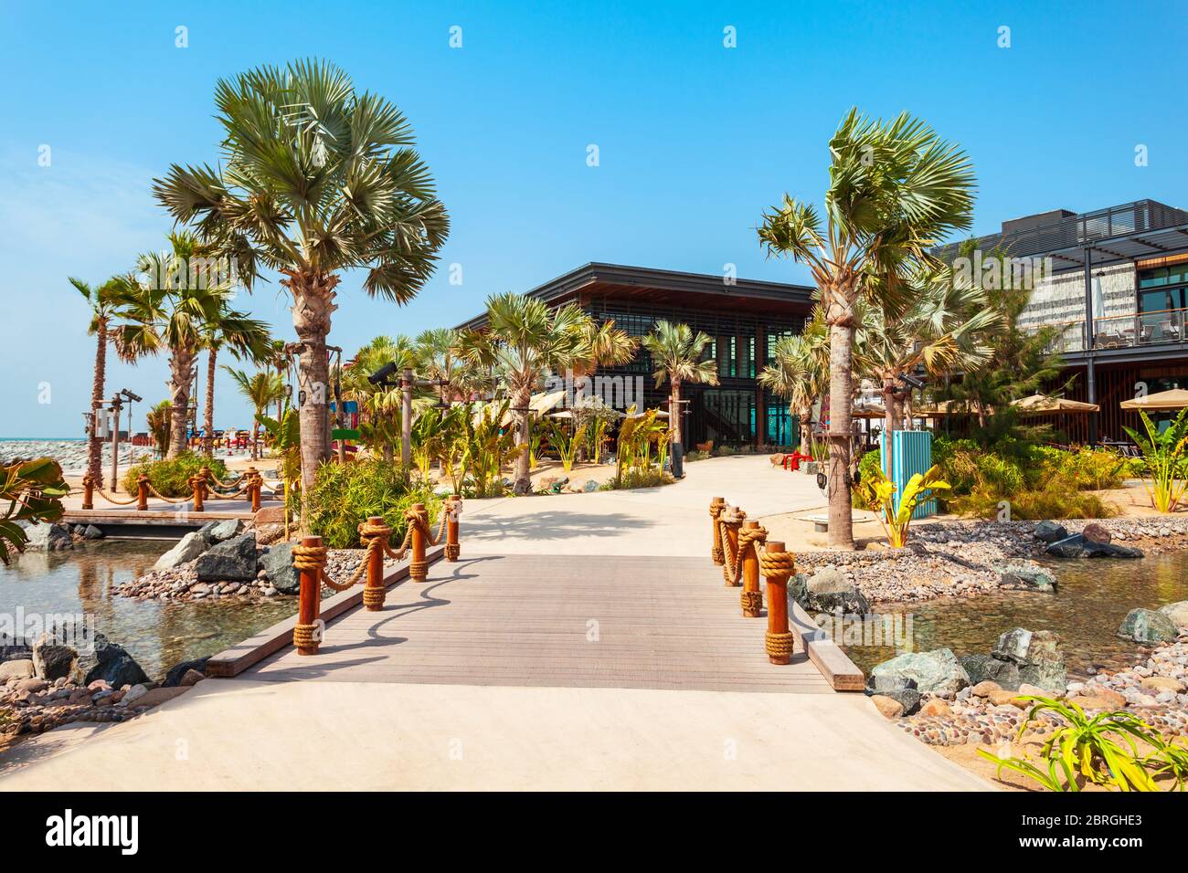 Beauty beach promenade with palms in Dubai city in UAE Stock Photo - Alamy