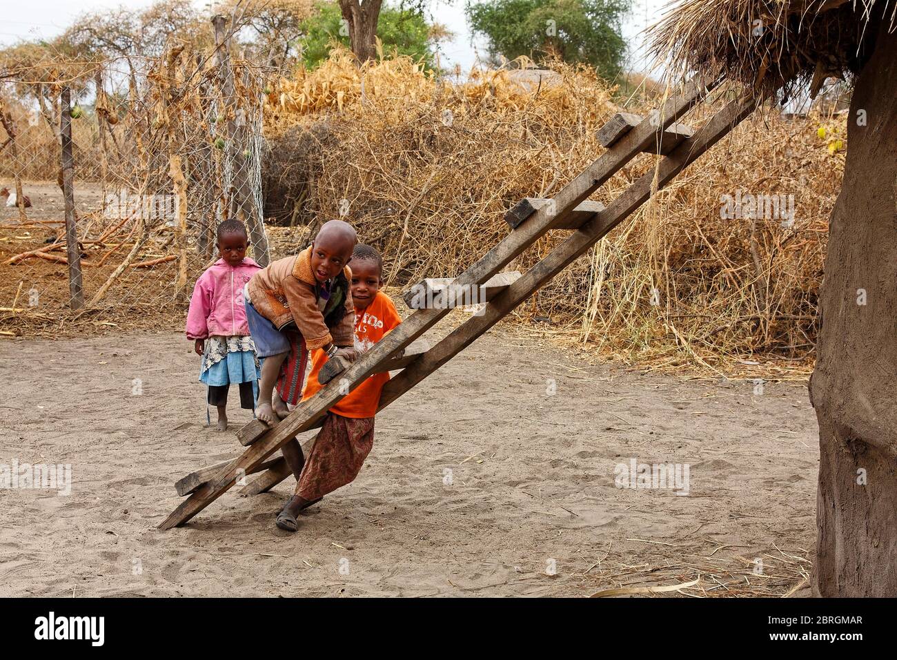 three Maasai children playing, fun, climbing roof ladder, traditional ...