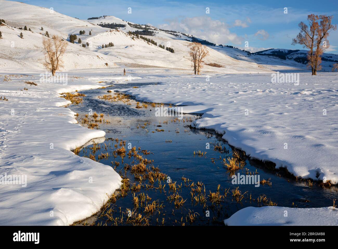 WY04557-00...WYOMING - Late afternoon view of a small creek in the snow ...