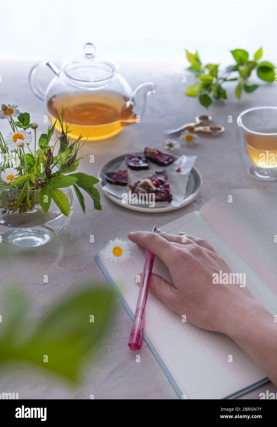 Relaxed hand of woman with pink pen in fingers on empty page of diary ...