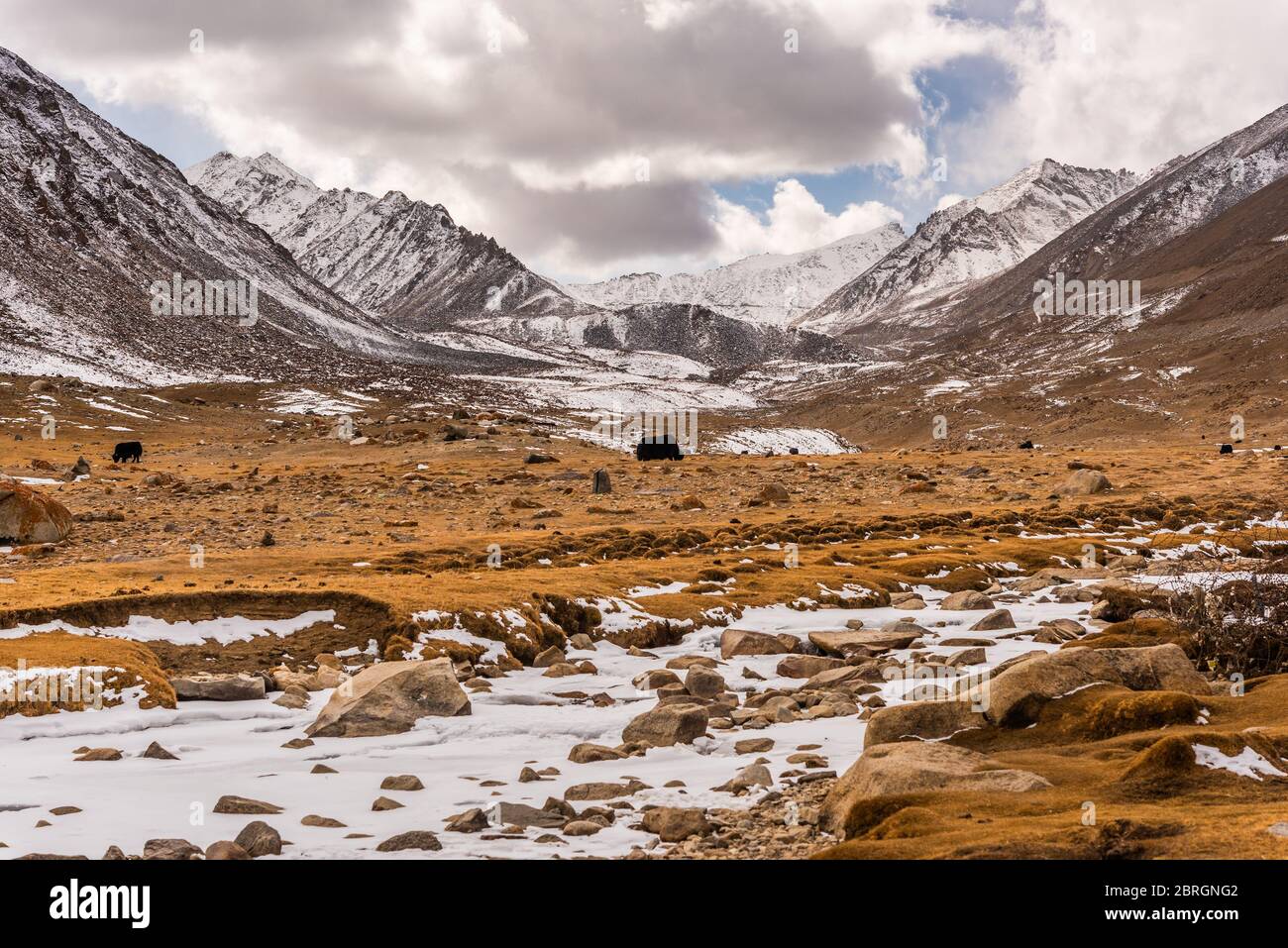 Landscape of snow mountains in Leh Ladakh with cloudy sky Stock Photo ...