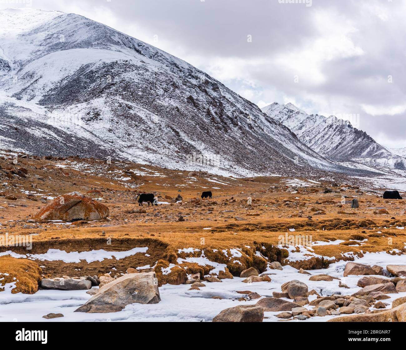Landscape of snow mountains in Leh Ladakh with cloudy sky Stock Photo ...