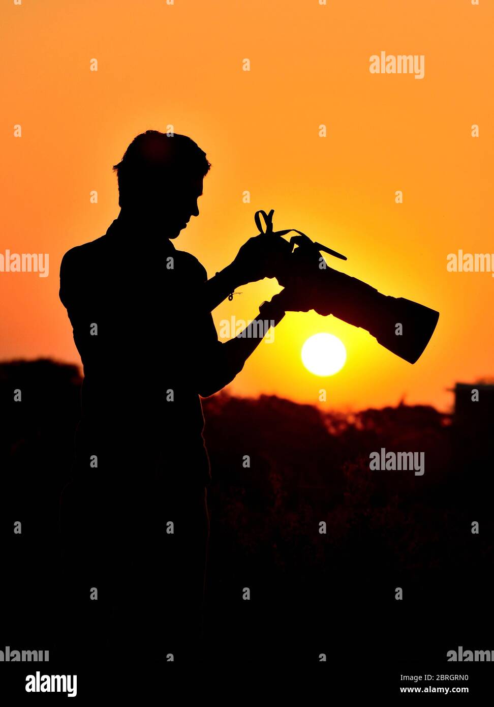 Silhouette photography is all about getting your lighting right. A ...