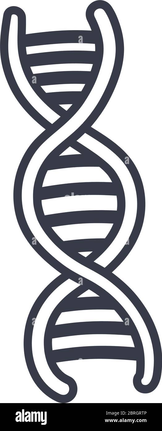 Dna structure line style icon design, Chromosome science molecule ...