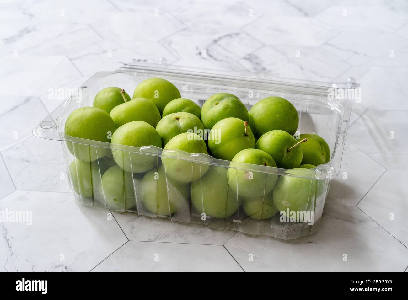 Raw Organic Sour Green Plums for Sale Ready to Eat in Plastic Container ...