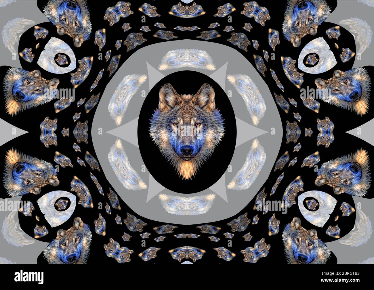 Meditations on the wolf. A strong and intelligent animal that ...