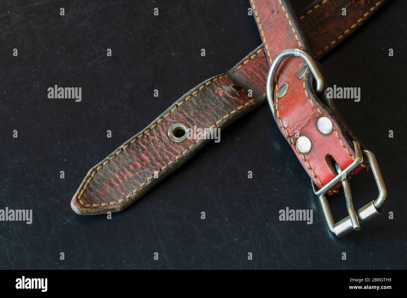 Old red leather dog collar. A close-up of a shabby and cracked dirty ...