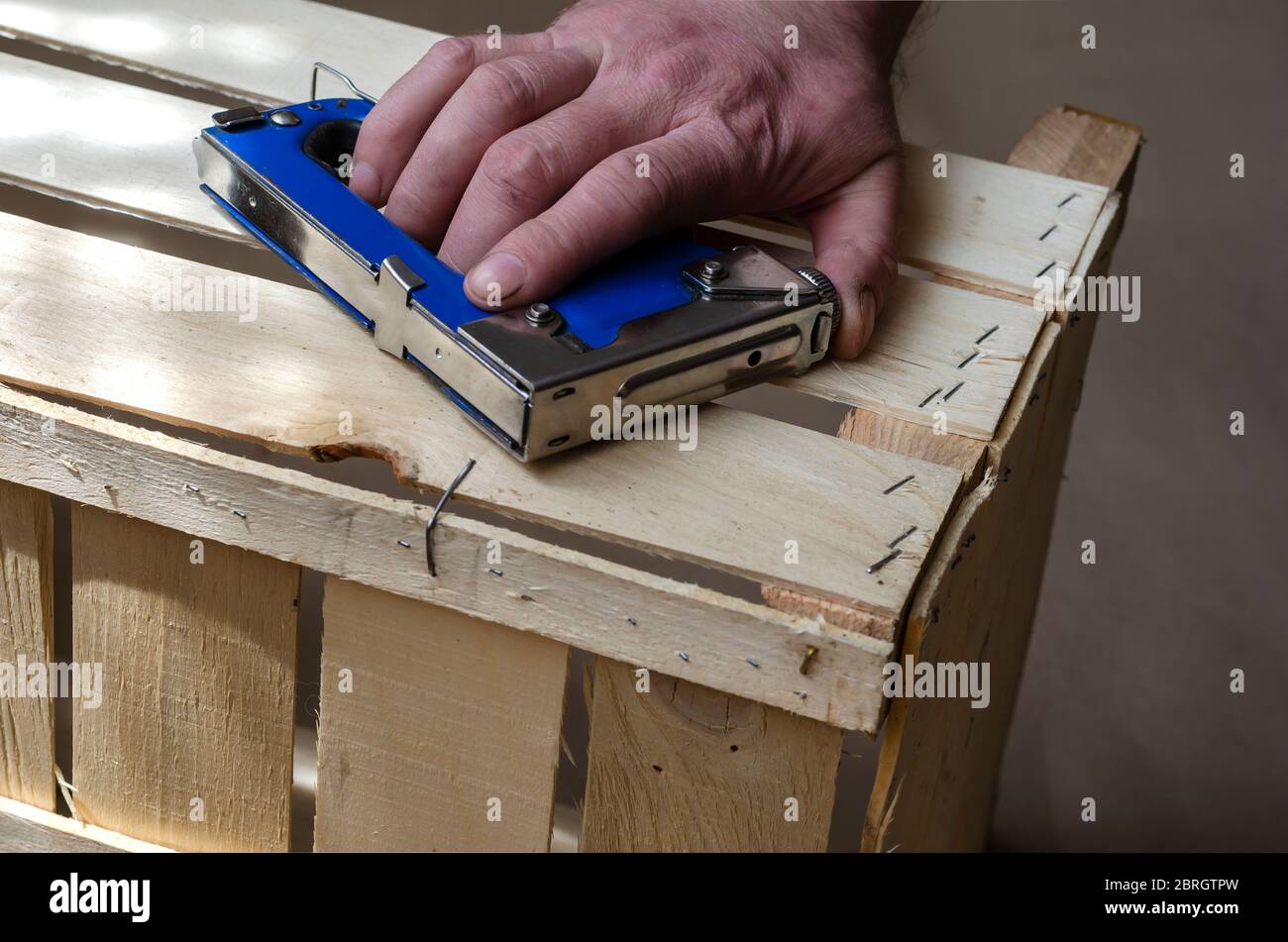 A man collects a wooden box using a stapler. Production of eco-friendly ...