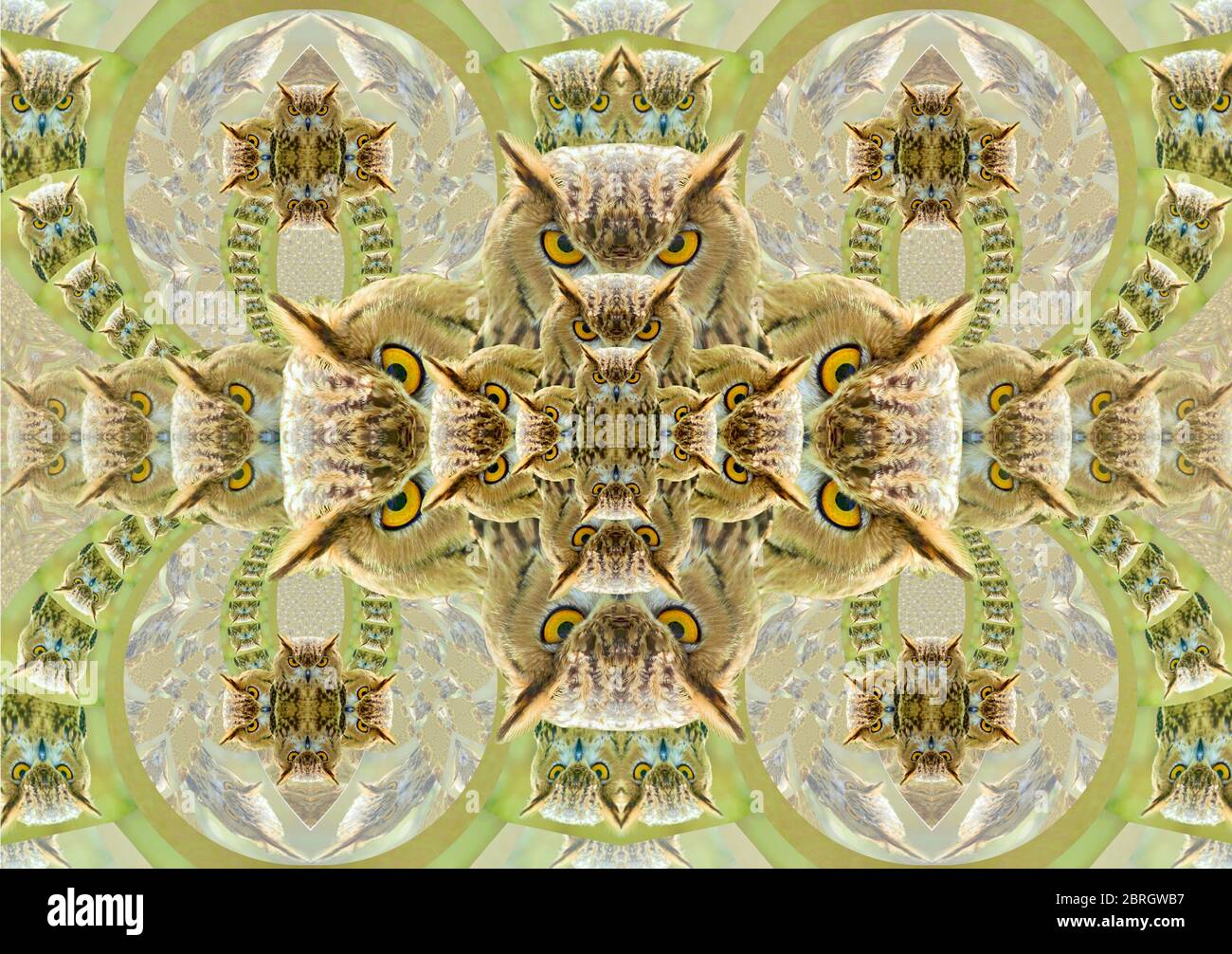 Owl image for poster hi-res stock photography and images - Alamy