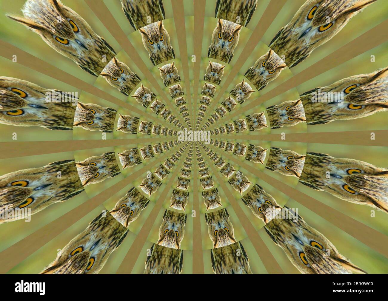 Striking owl mandalas. Owl is the grand and rather clever old man of ...