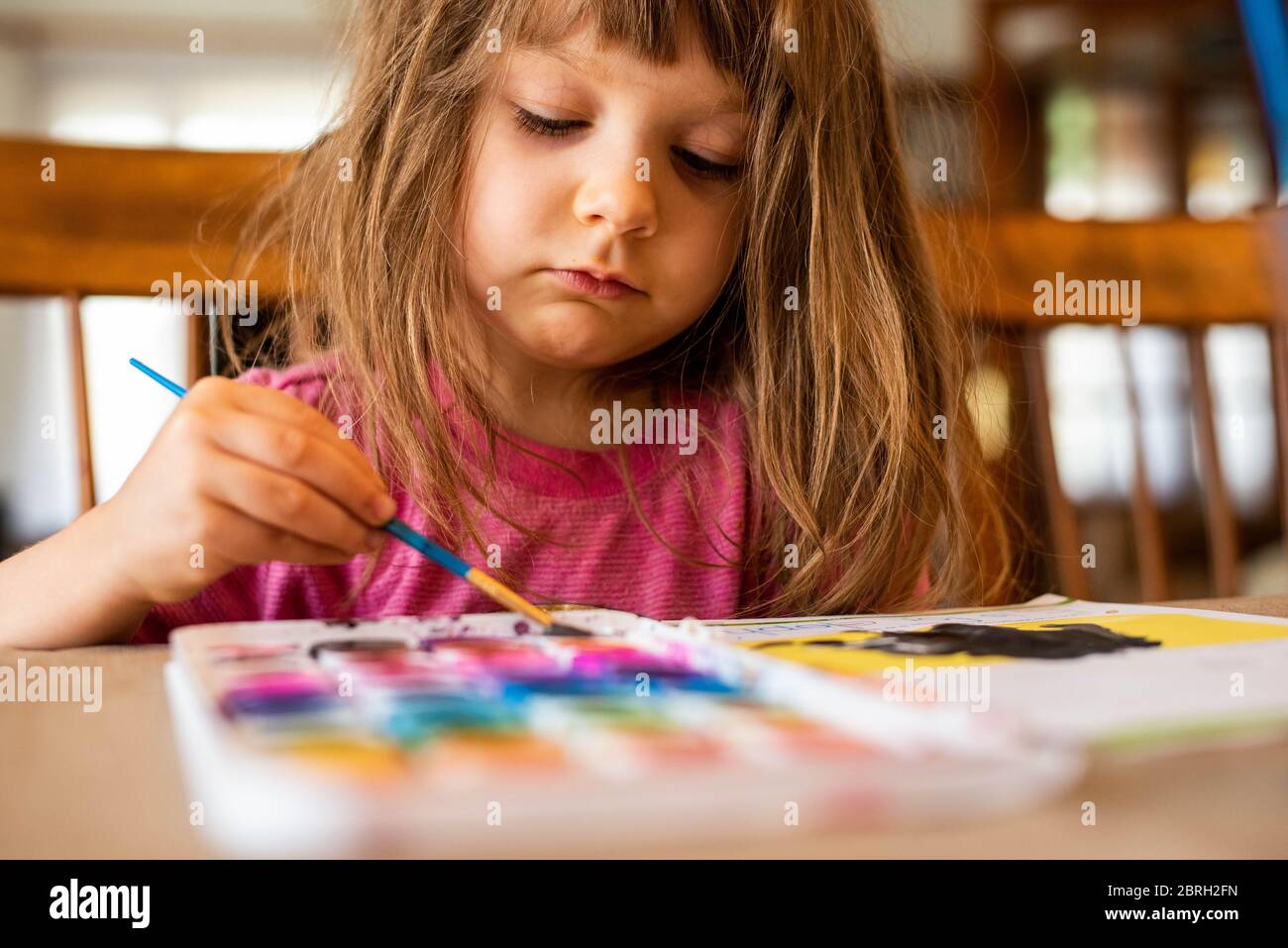 A 5 year Old Girl Paints With A Variety Of Colors Of Watercolor Stock a-5-year-old-girl-paints-with-a-variety-of-colors-of-watercolor-stock