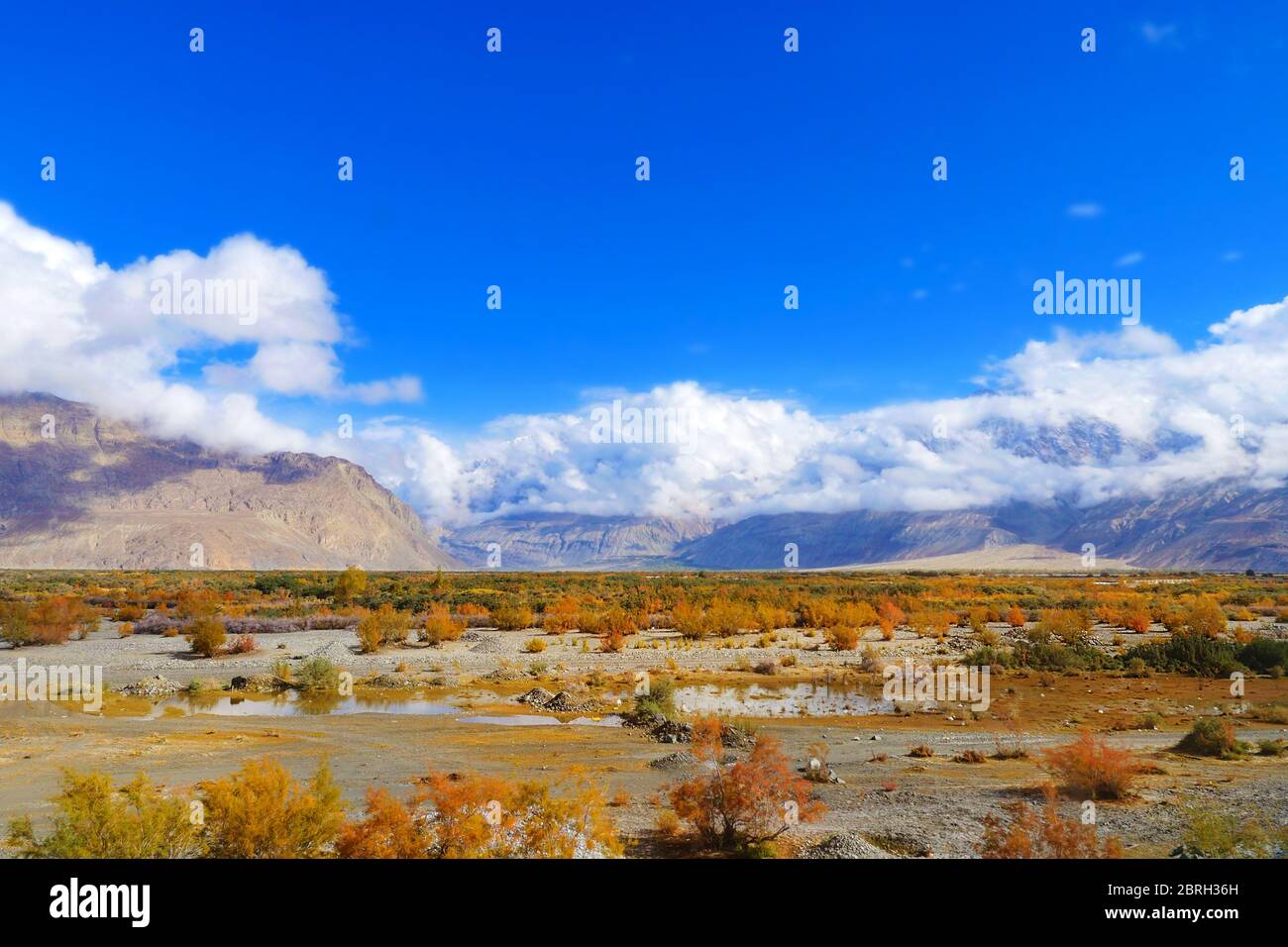 Landscape view of Ladakh India Stock Photo - Alamy