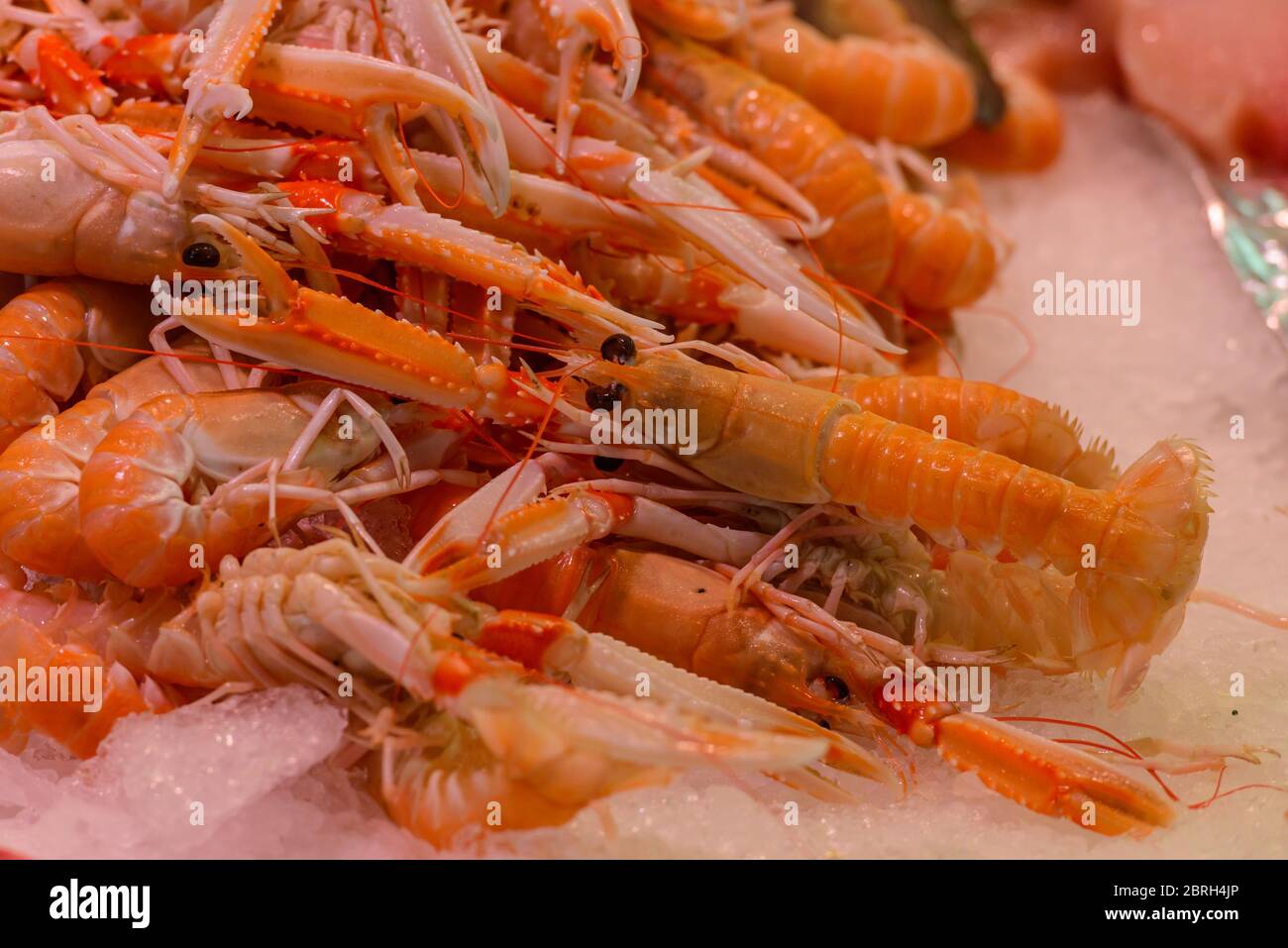 Atlantic prawns hi-res stock photography and images - Alamy
