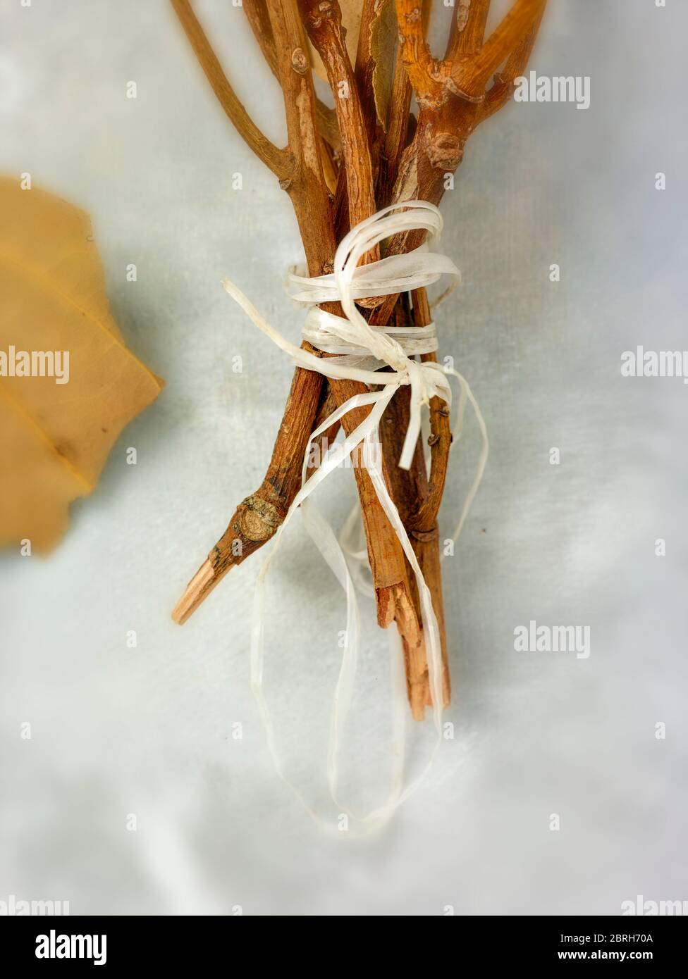 Cinnamon spice stick and leaves food still-life Stock Photo - Alamy