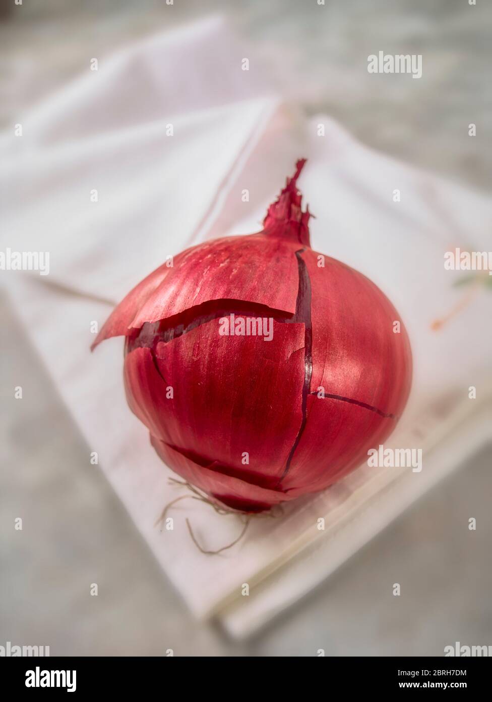 Red onion food ingredient still life on light coloured background Stock ...