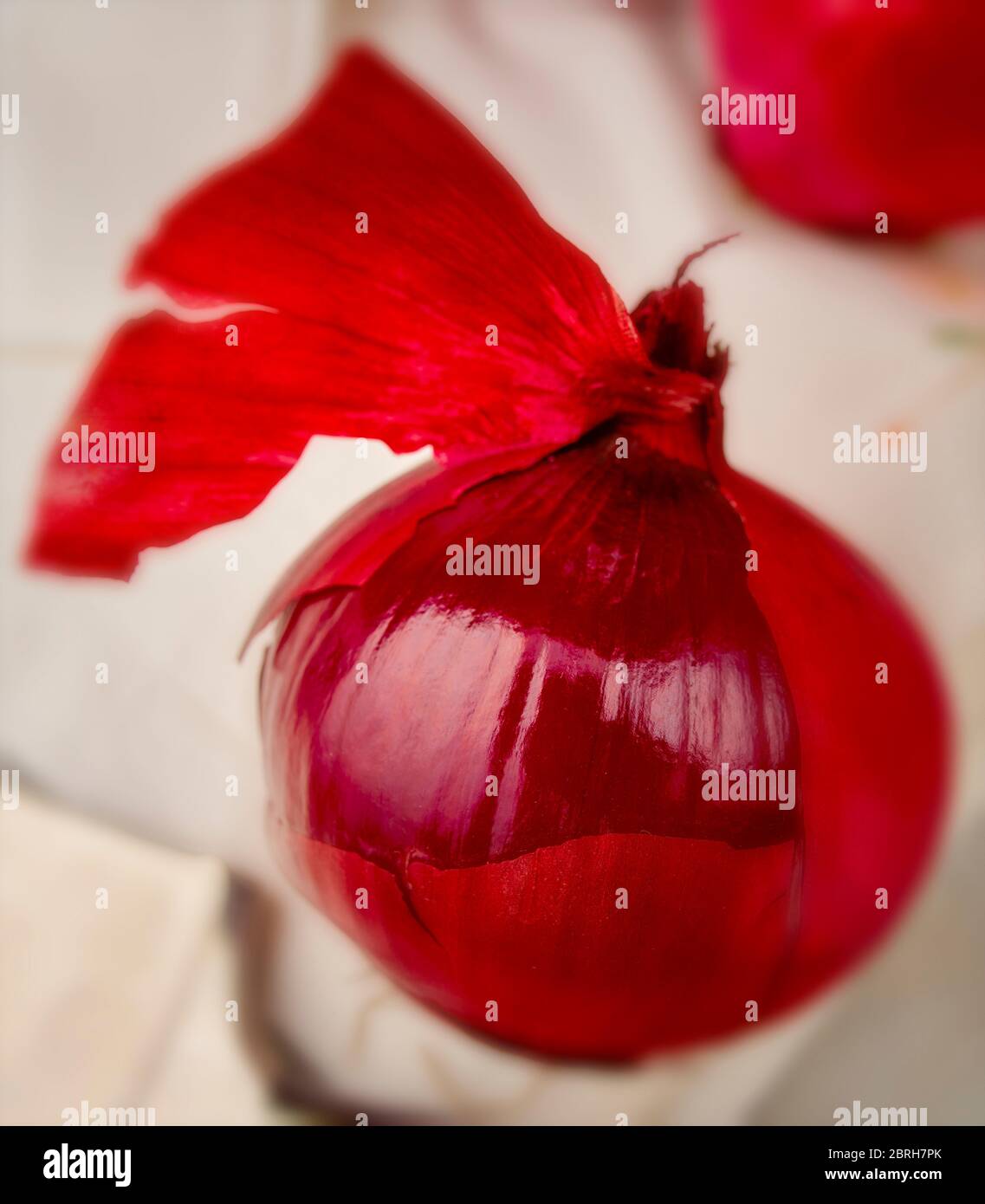 Whole red onion food ingredient still-life Stock Photo - Alamy