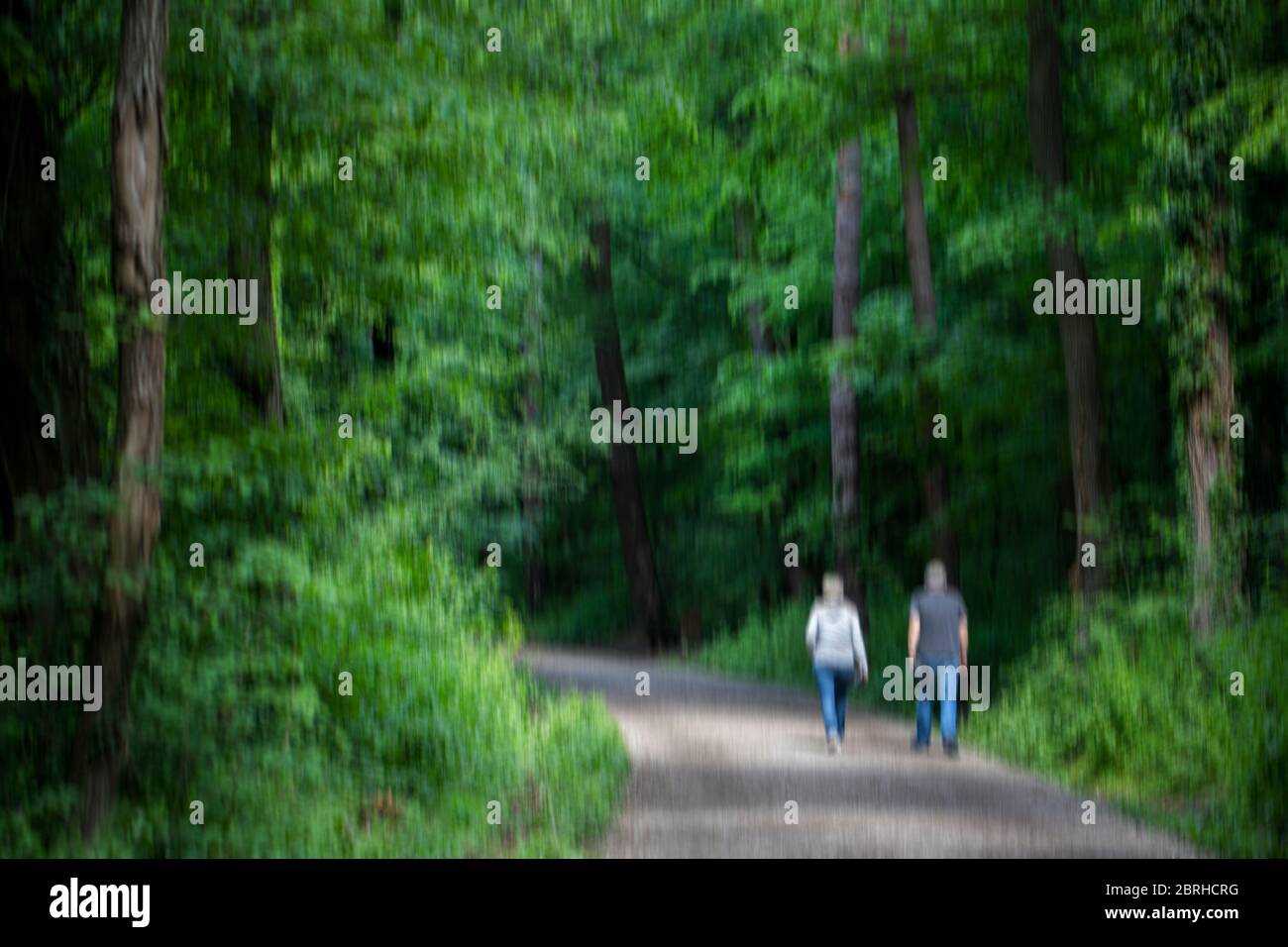 A blurry photo of two people walking on the forest path Stock Photo - Alamy