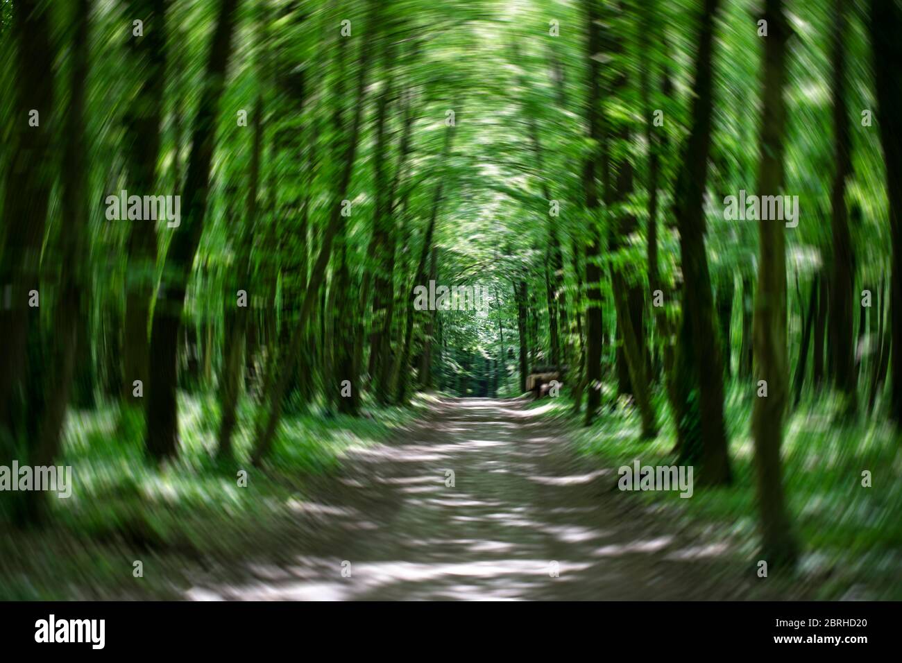 A circular blur photo of a green forest path Stock Photo - Alamy