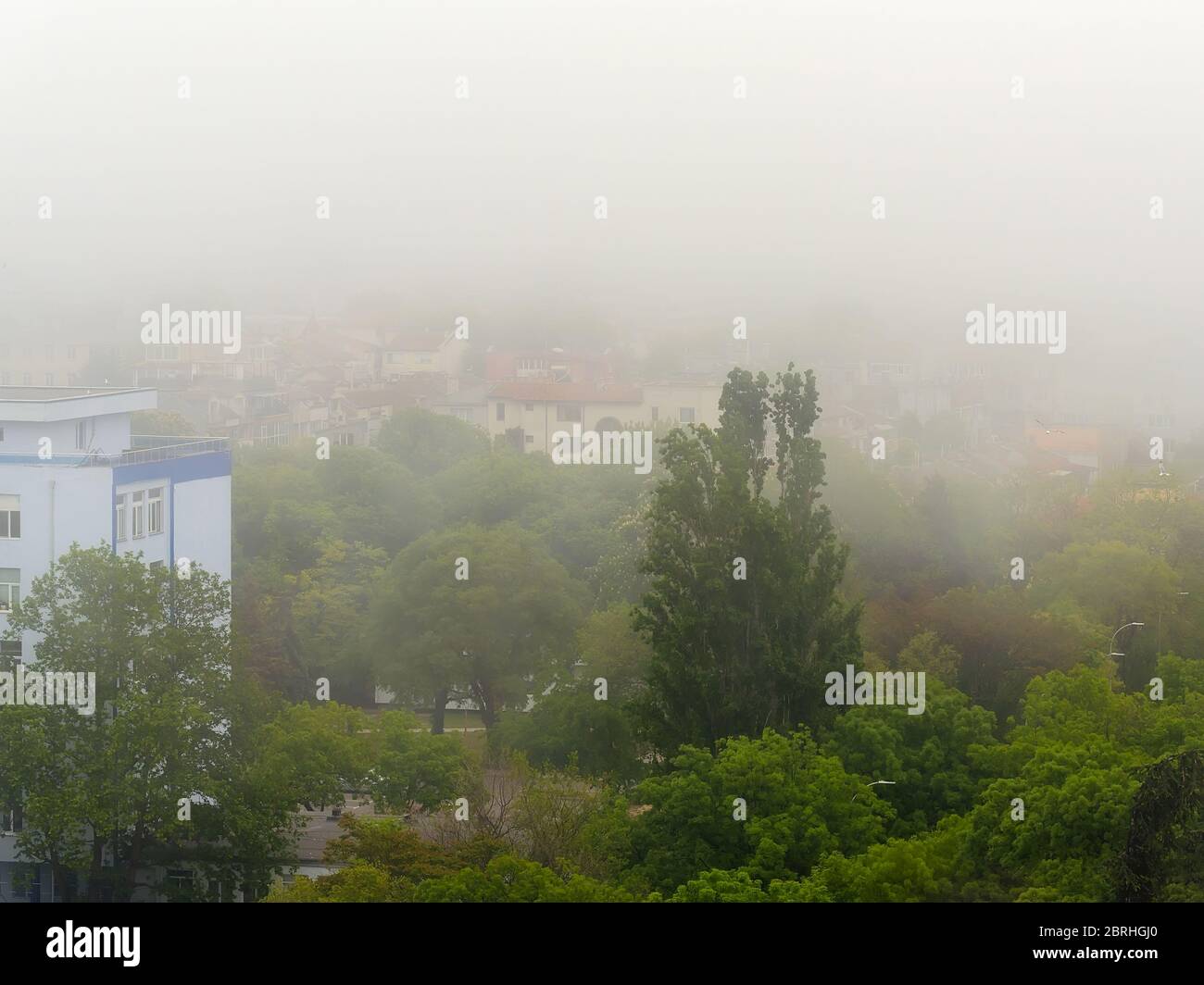 Low-rise residential buildings and streets with green trees in dense ...