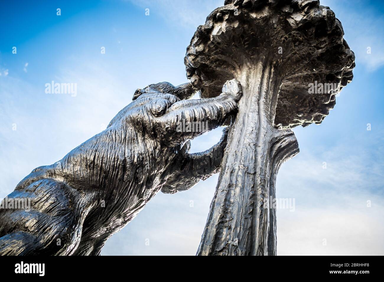 Statue of the bear and the strawberry tree hi-res stock photography and ...