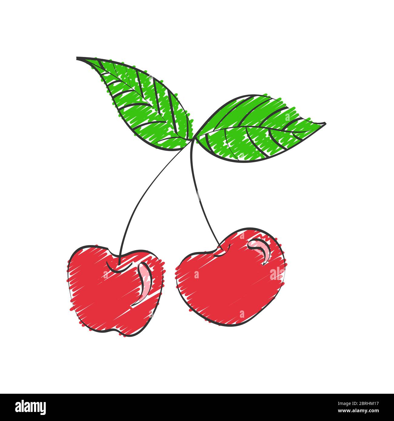 Cherry. Vector color hand drawn illustration isolated on a white ...