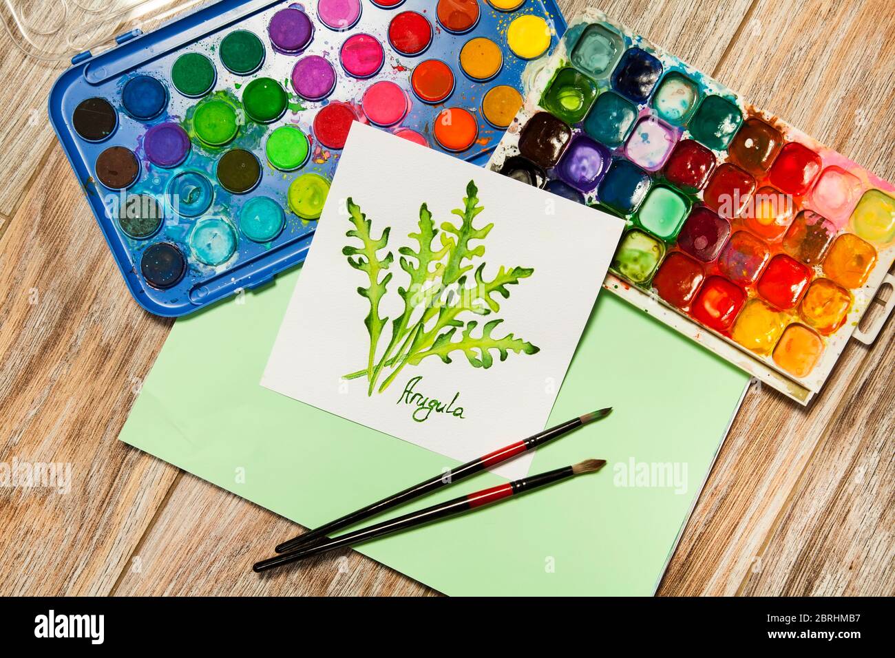Arugula watercolor hand drawing illustration with paints on wooden ...