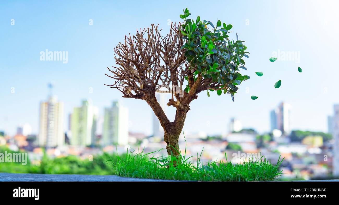 Pollution Clean Air Green Conceptual Art Tree Growing Stock Photo - Alamy