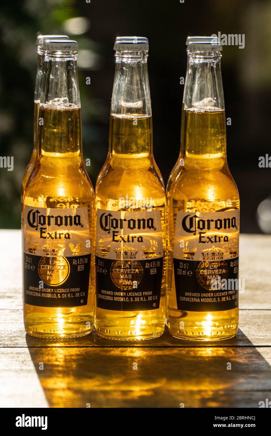 Bottles of Corona beer Stock Photo - Alamy