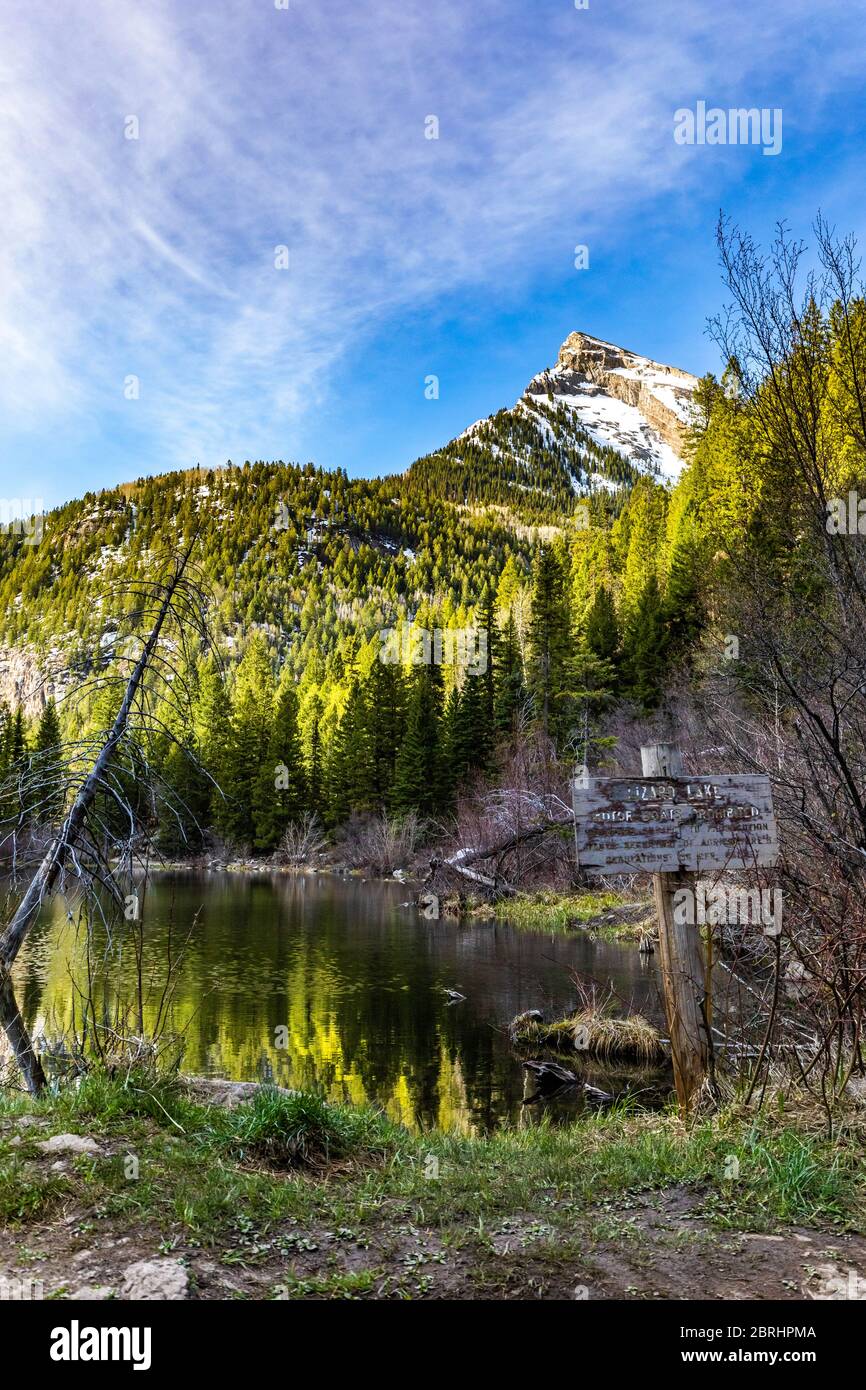 Beautiful Lizard lake White river national park Colorado in summer ...