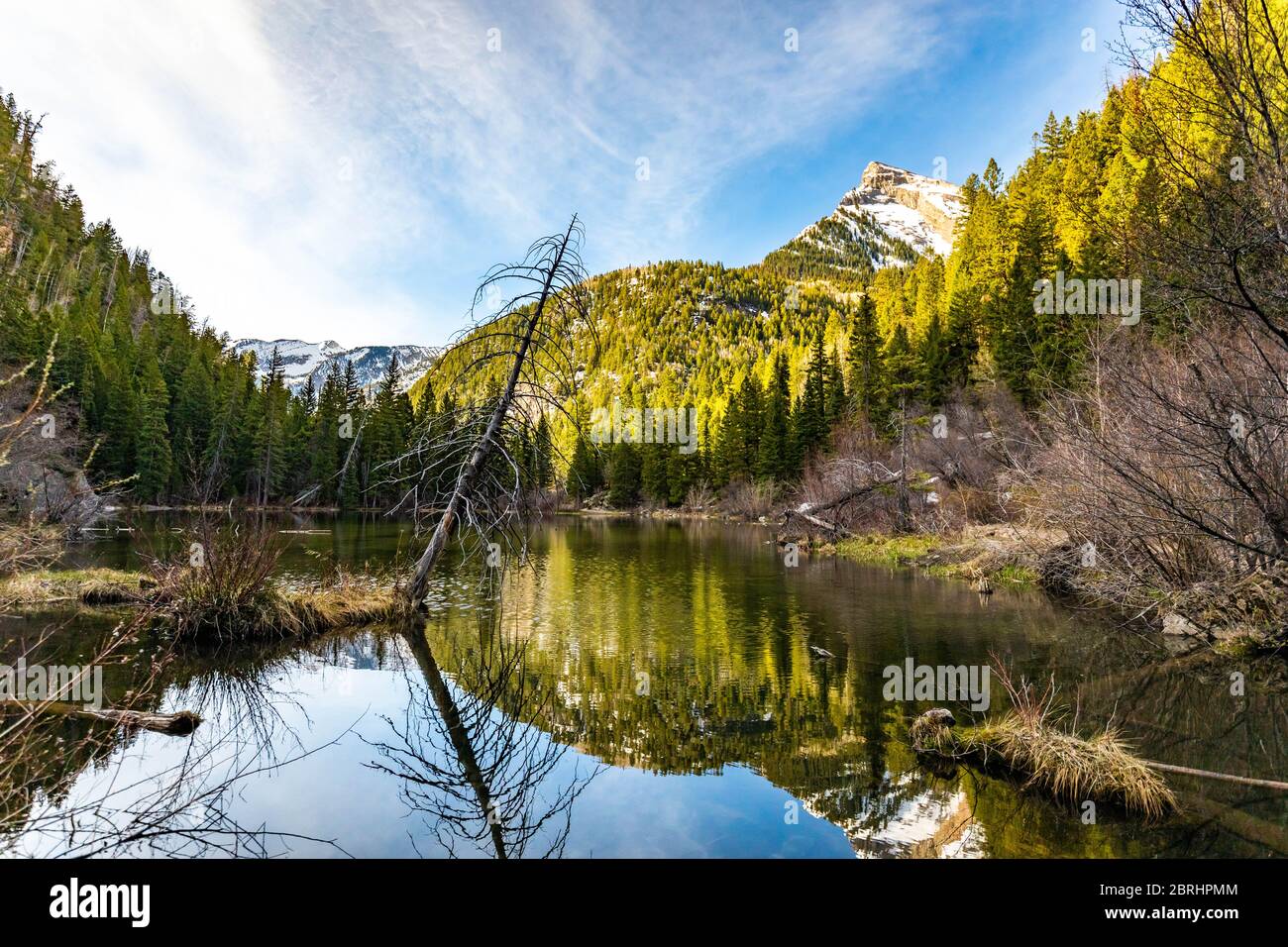 Beautiful Lizard lake White river national park Colorado in summer ...