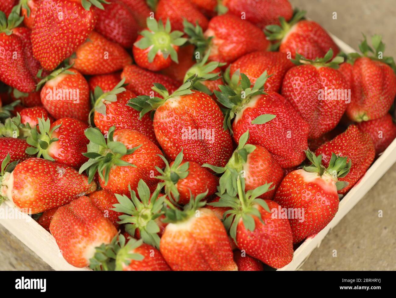 Fresh strawberries on the market Stock Photo - Alamy