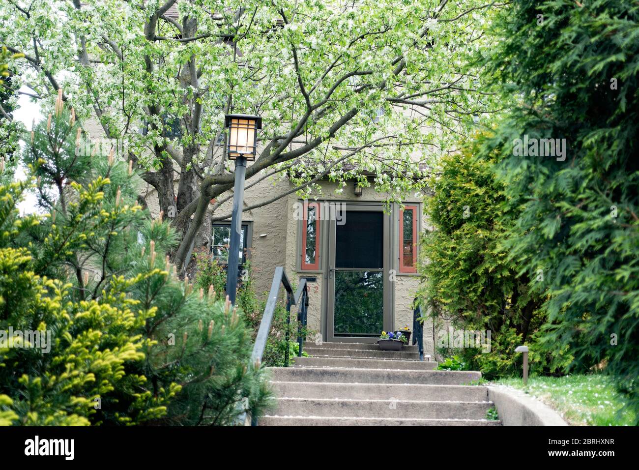 Shrubbery and plantings hi-res stock photography and images - Alamy