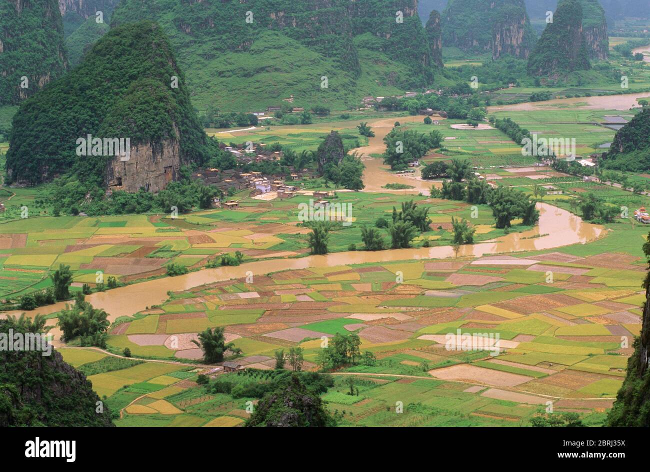 Rice Field near Yangshuo, Guangxi Province, China Stock Photo - Alamy