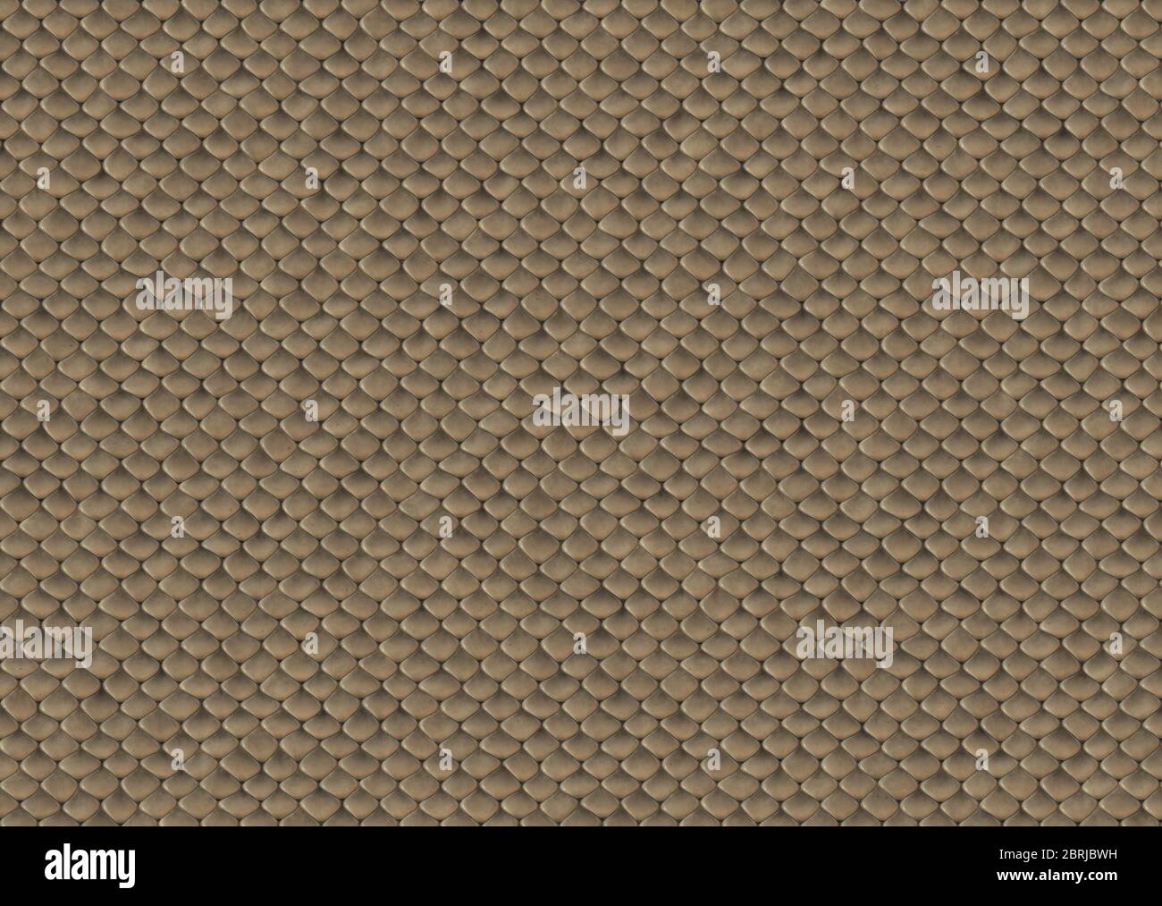 snake reptile skin Stock Photo - Alamy