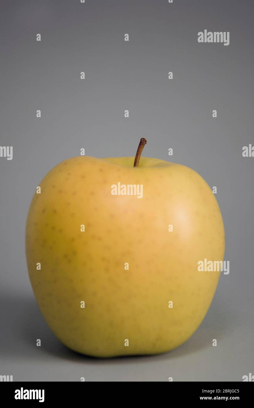 Golden Delicious Apple Stock Photo - Alamy
