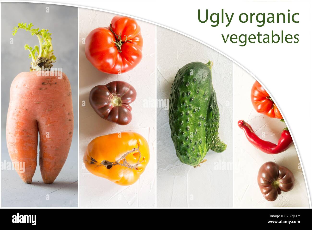 Collage of ugly vegetables, carrot, tomato, pepper, cucumber in set ...