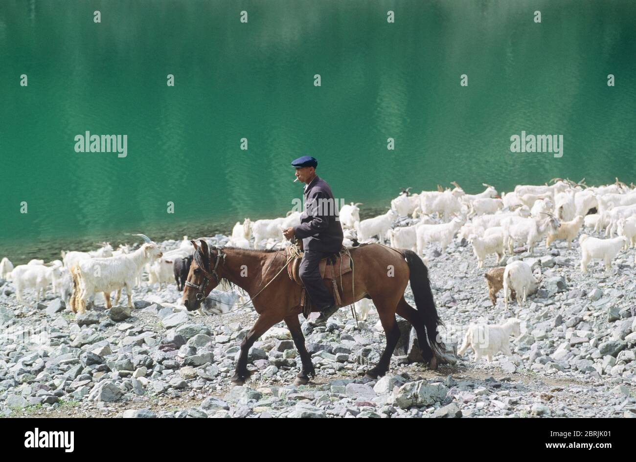 Goat Herder, Heavenly Lake of Tianshan, Xinjiang Province, China Stock ...