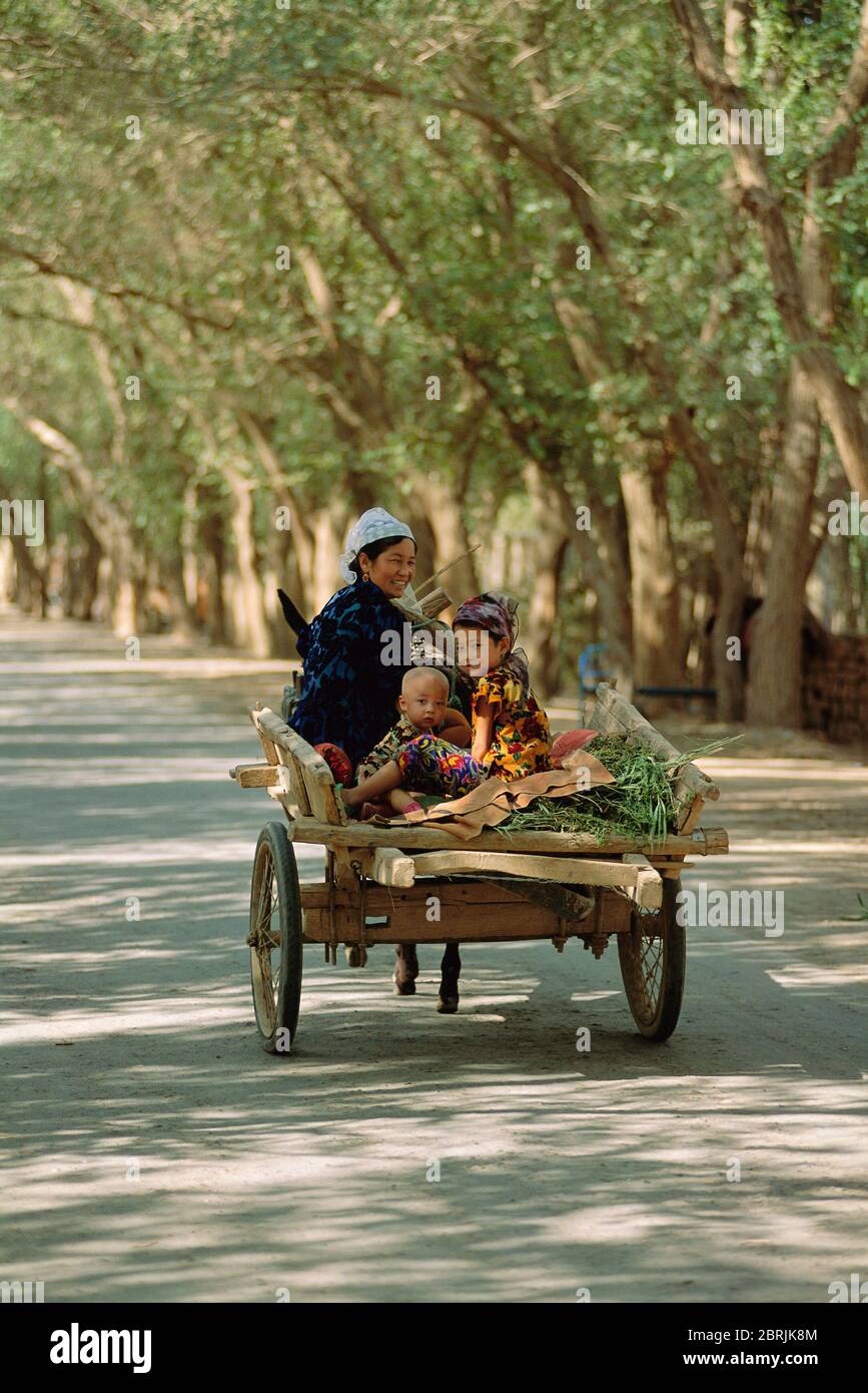 Donkey drawn cart hi-res stock photography and images - Alamy