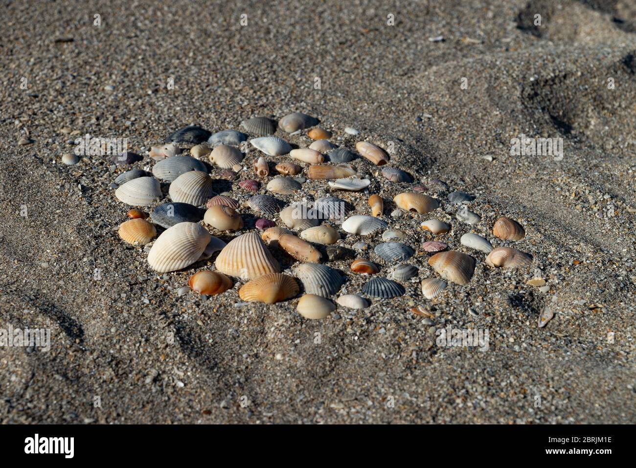 Coarse beach sand with shells hi-res stock photography and images - Alamy