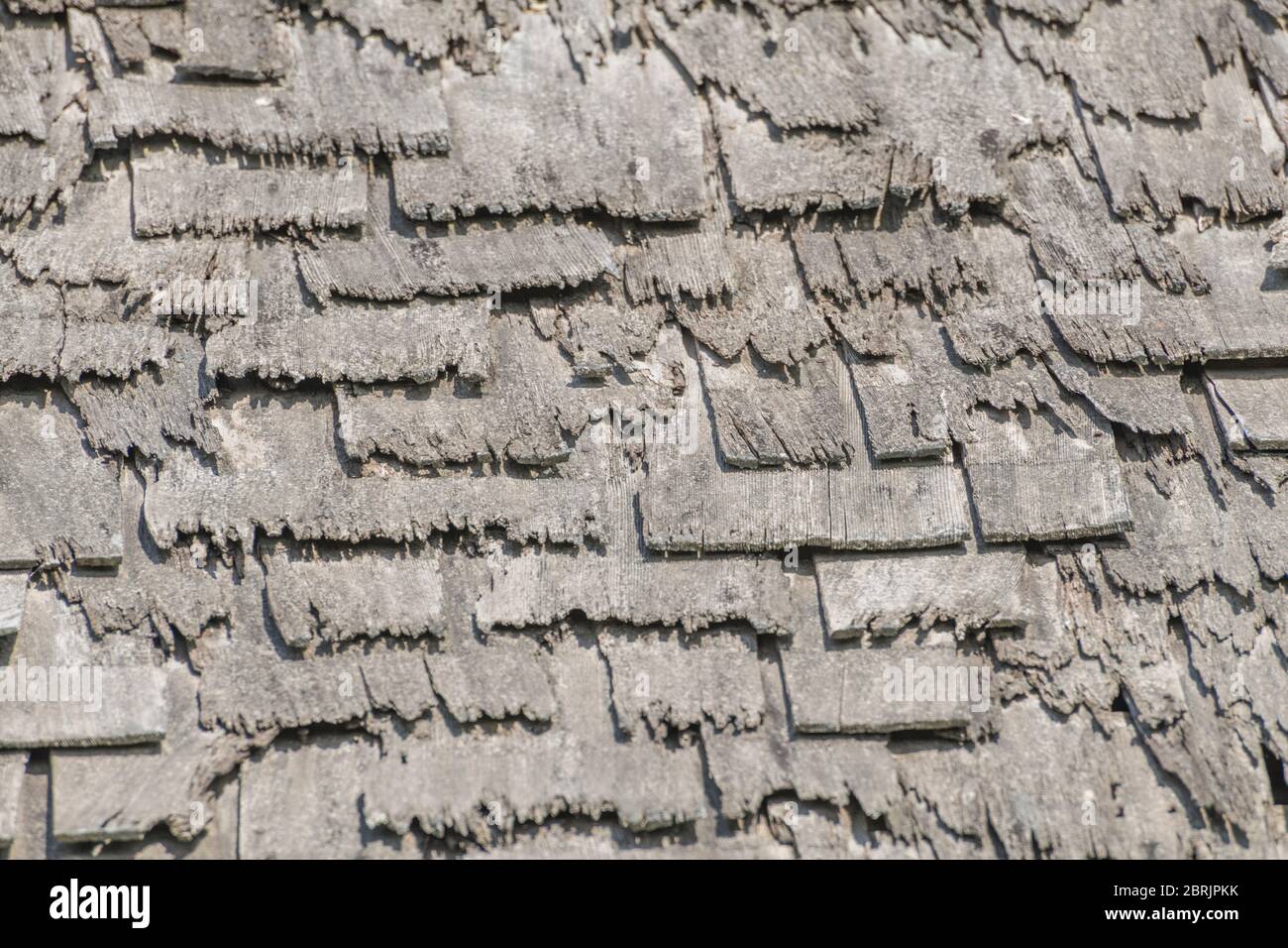 Damaged wood timber structures hi-res stock photography and images - Alamy