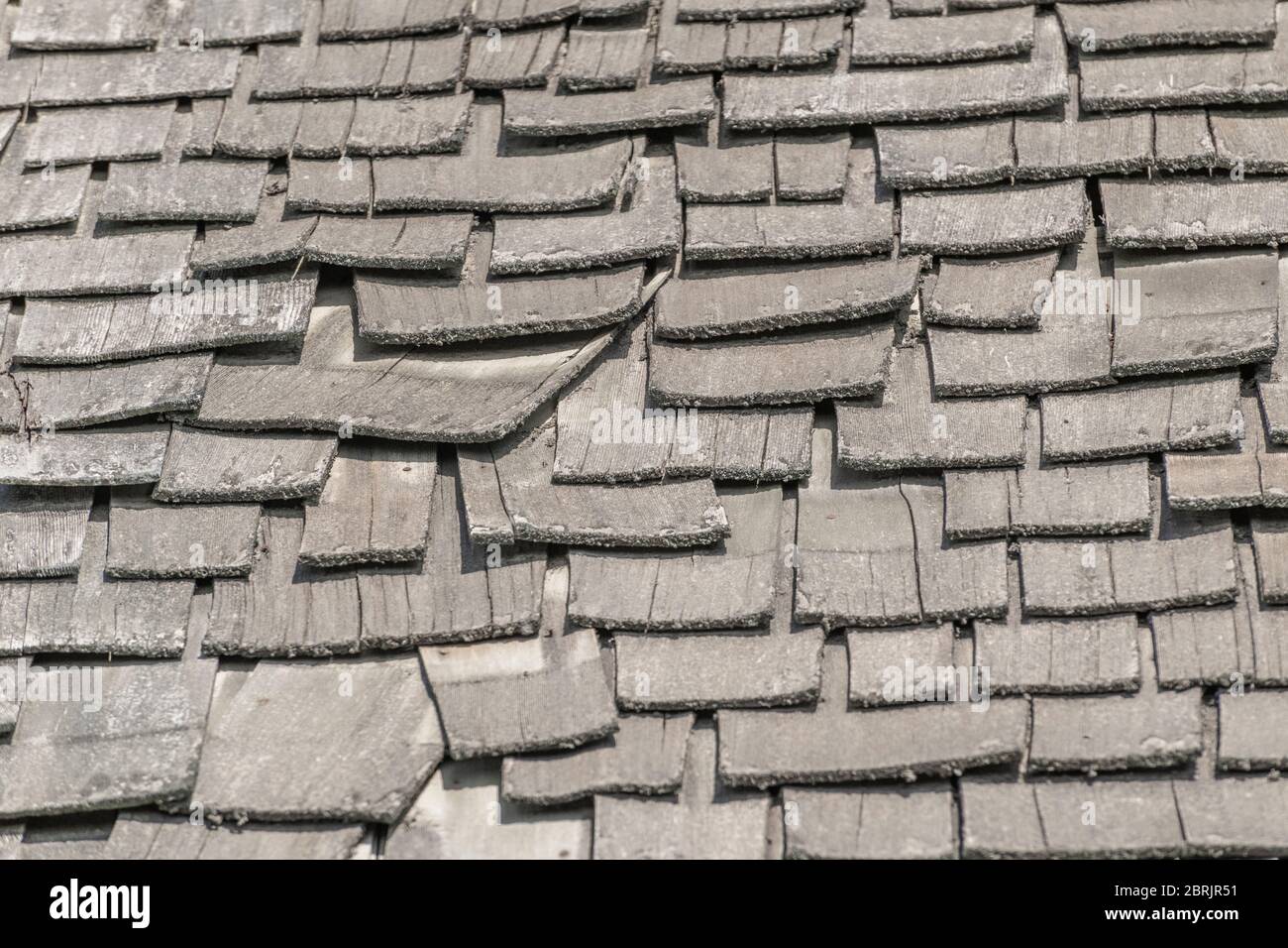 Badly decaying and rotting wooden shingle roof /shingle roof tiles ...