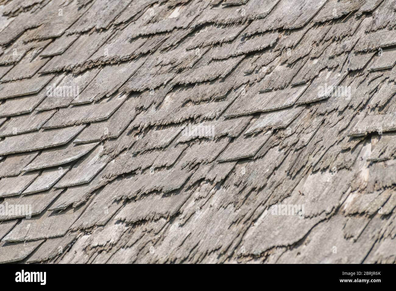 Badly decaying and rotting wooden shingle roof /shingle roof tiles ...