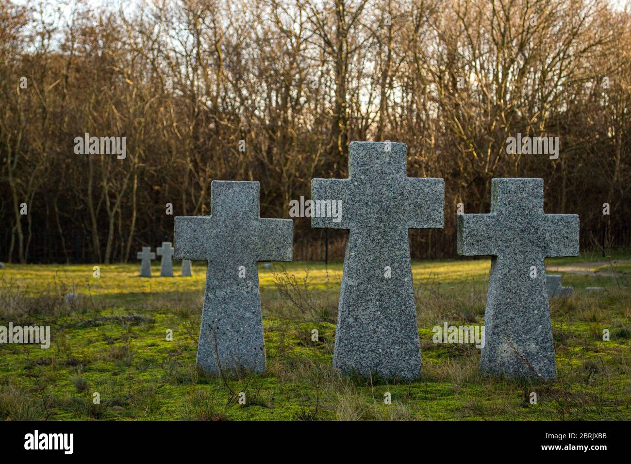 Stone Crosses at the World War II Memorial Cemetery of German Wehrmacht ...